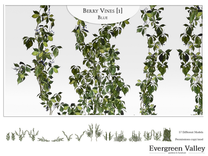 Second Life Marketplace - Berry Vines [1] Blue